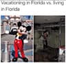 40 Funny Florida Memes For Anyone Who Thinks Alligators Are Just ...