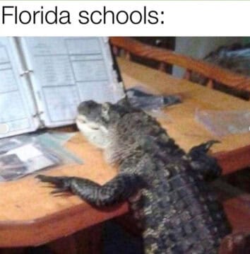 40 Funny Florida Memes For Anyone Who Thinks Alligators Are Just ...