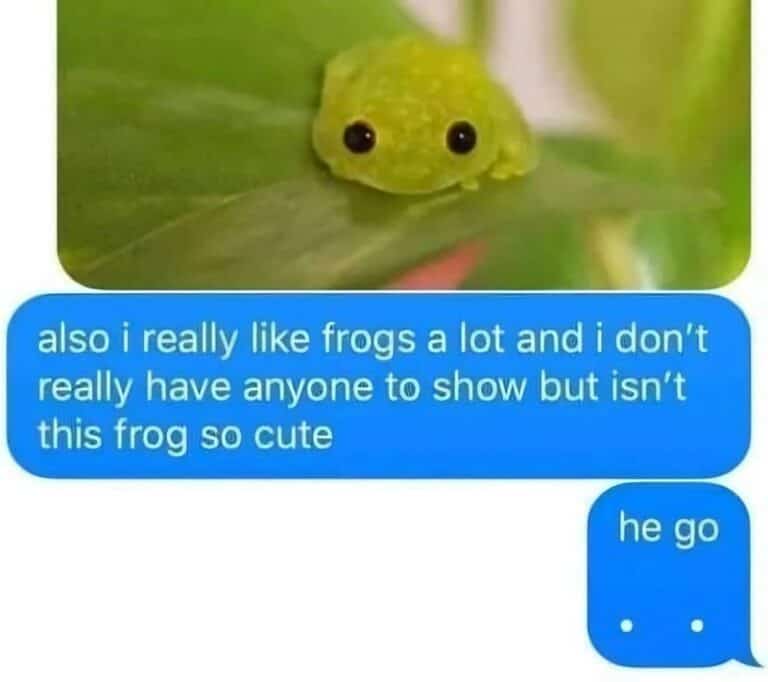 35 Funny Frog Memes To Help You Frog-et Your Worries