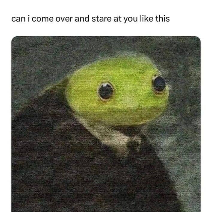 35 Funny Frog Memes To Help You Frog-et Your Worries