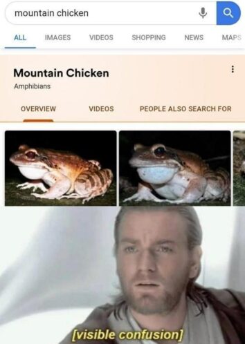 35 Funny Frog Memes To Help You Frog-et Your Worries