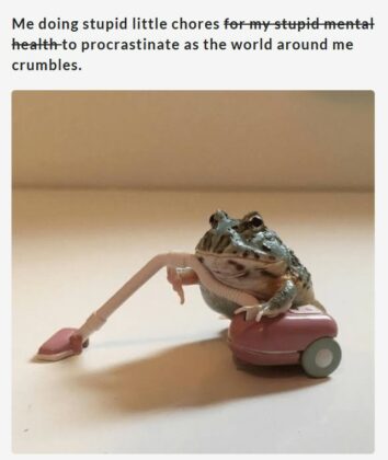 35 Funny Frog Memes To Help You Frog-et Your Worries