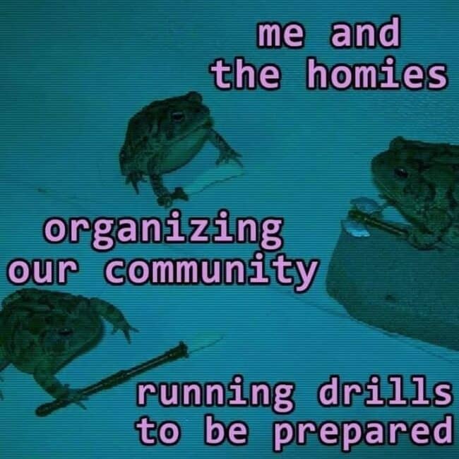35 Funny Frog Memes To Help You Frog-et Your Worries