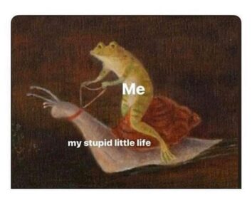 35 Funny Frog Memes To Help You Frog-et Your Worries