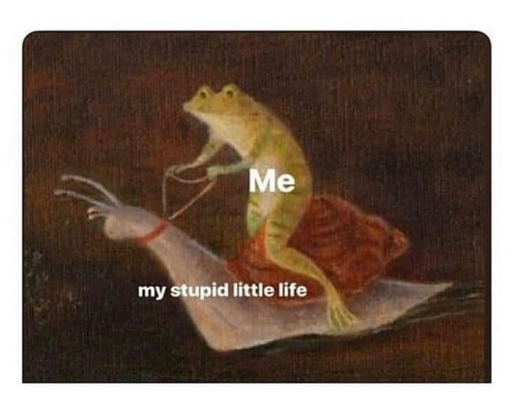 35 Funny Frog Memes To Help You Frog-et Your Worries