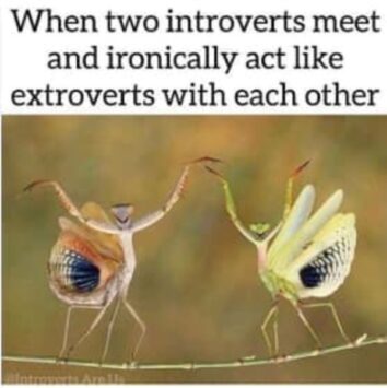 40 Funny Introvert Memes For People Staying Home On New Year's Eve ...
