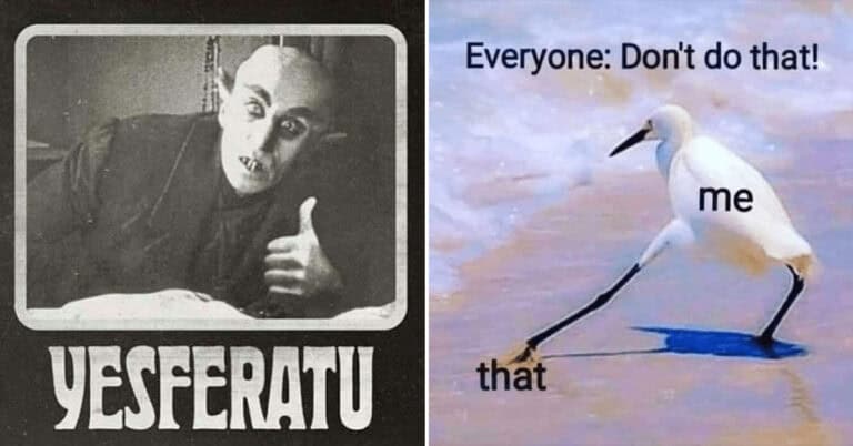 28 Funny Minimalist Memes That Get Straight To The Point