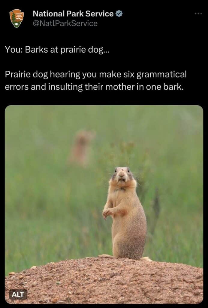 40 Funniest Tweets From The National Park Service This Year