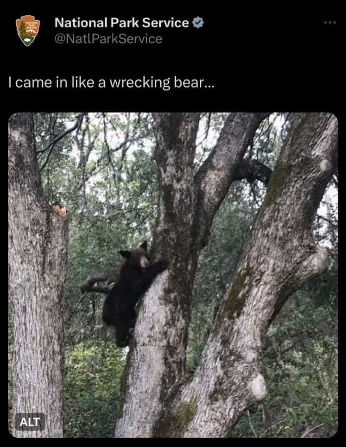 40 Funniest Tweets From The National Park Service This Year