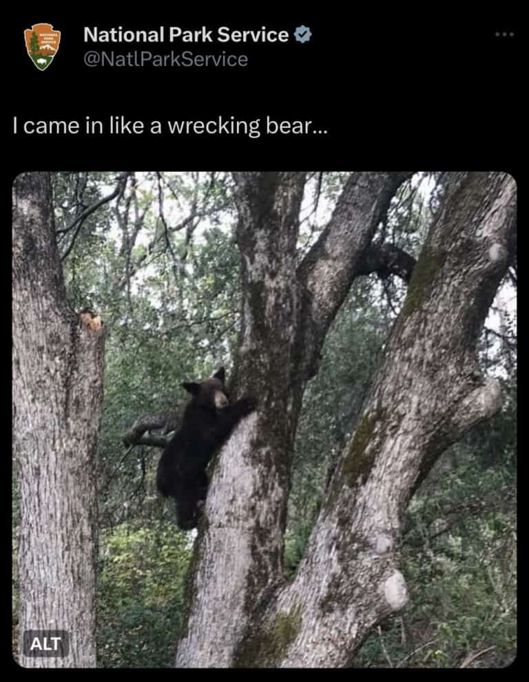 40 Funniest Tweets From The National Park Service This Year