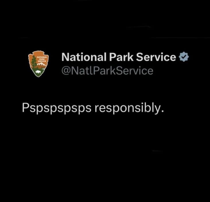 40 Funniest Tweets From The National Park Service This Year