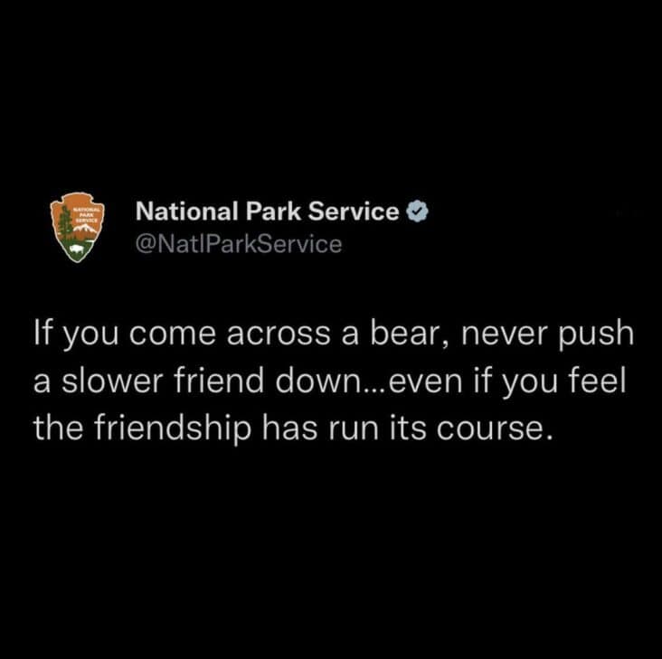 40 Funniest Tweets From The National Park Service This Year