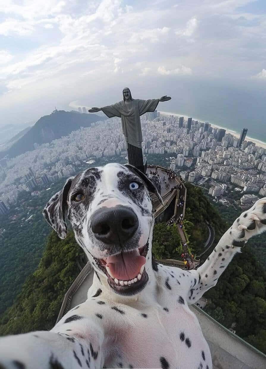 "The Photoshop Battles" — Photoshop Wizards Edit Viral Images In This ...
