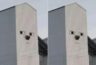 40 Funny Pictures For Your Daily Dose Of Humor (December 18, 2024)
