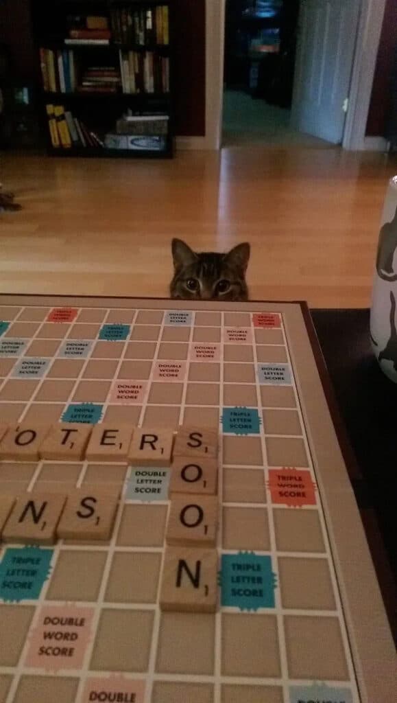 40 Funny Pictures For Your Daily Dose Of Humor (December 18, 2024)