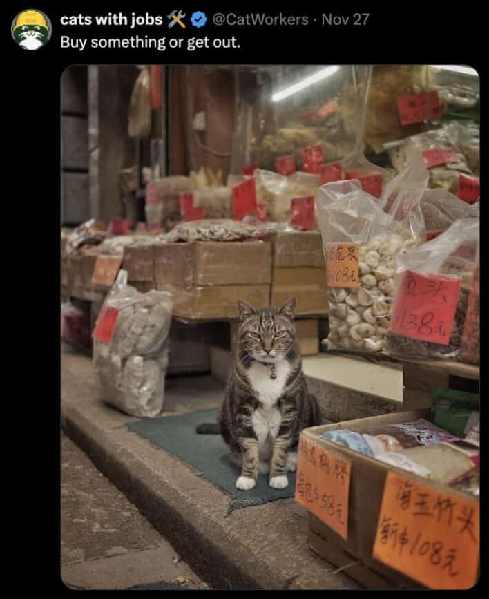 40 Cats With Jobs Working Their Kitties Off To Put Food In The Bowls