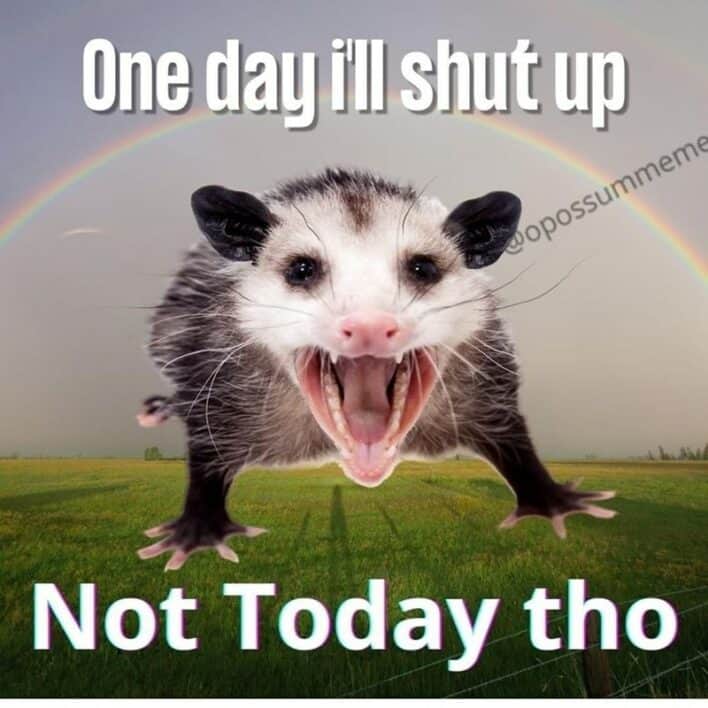 45 Funny Possum Memes Screaming Their Way Into Your Heart Like True ...