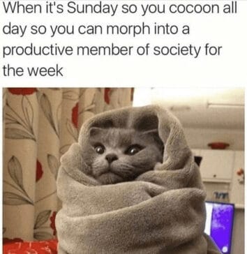 45 Funny Procrastination Memes That'll Make You Feel Better About Your ...