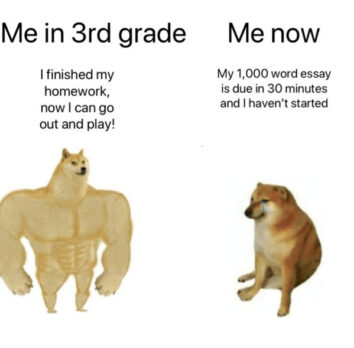 45 Funny Procrastination Memes That'll Make You Feel Better About Your ...