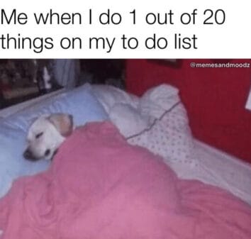 45 Funny Procrastination Memes That'll Make You Feel Better About Your ...