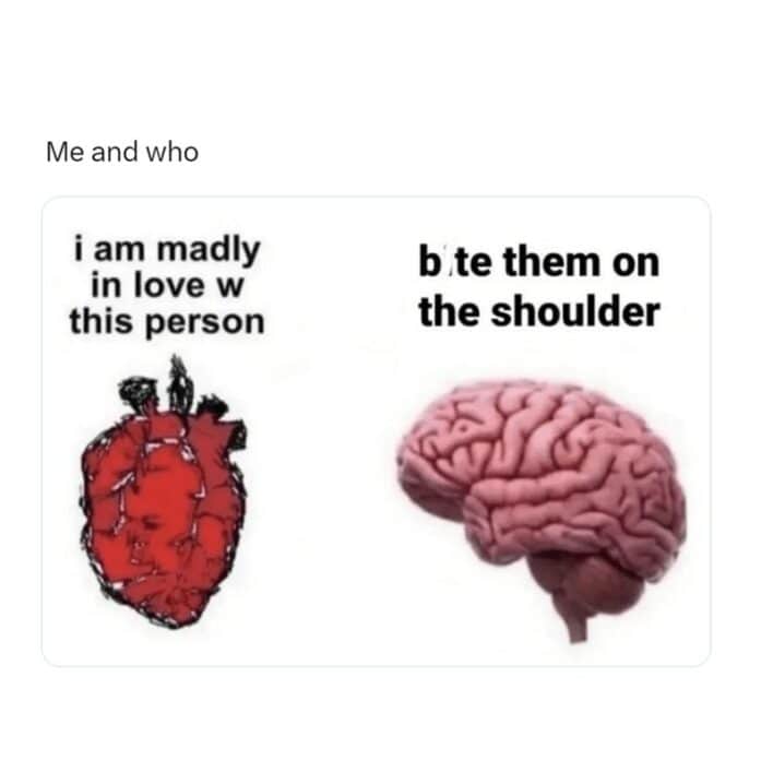 35 Funny Relationship Memes For Girlies Looking For Love This Cuffing ...