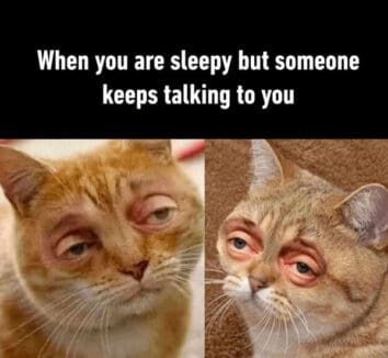 40 Sleepy And Exhausted Memes For Anyone Running On Empty This Week ...