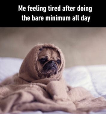 40 Sleepy And Exhausted Memes For Anyone Running On Empty This Week ...