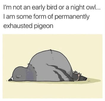 40 Sleepy And Exhausted Memes For Anyone Running On Empty This Week ...