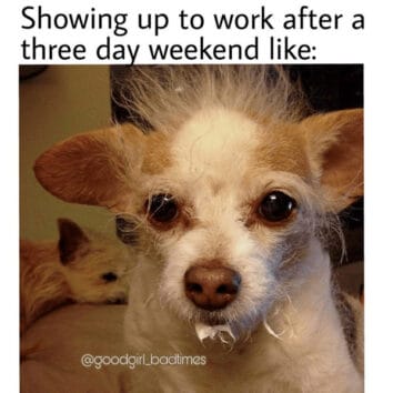 40 Sleepy And Exhausted Memes For Anyone Running On Empty This Week ...