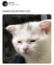 40 Sleepy And Exhausted Memes For Anyone Running On Empty This Week ...