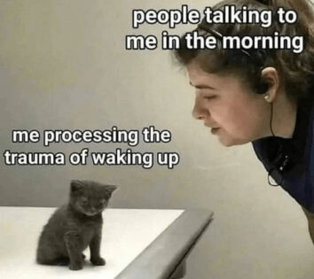 40 Sleepy And Exhausted Memes For Anyone Running On Empty This Week ...