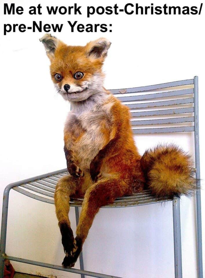 37 Holiday Hangover Memes For People Who Drank Too Much Eggnog This ...