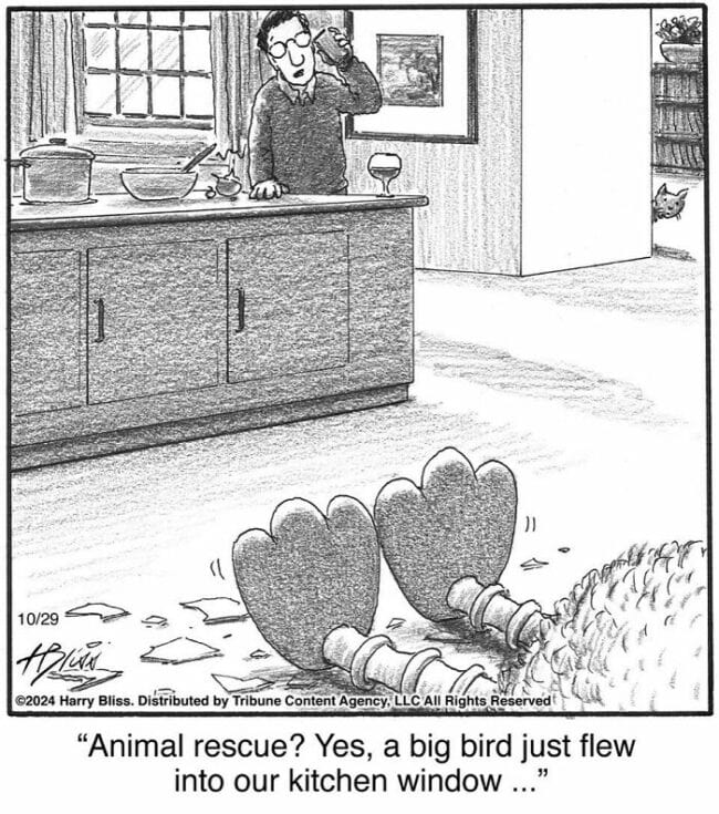 50 Hilariously Wholesome Single-Panel Comics From New Yorker Cartoonist ...