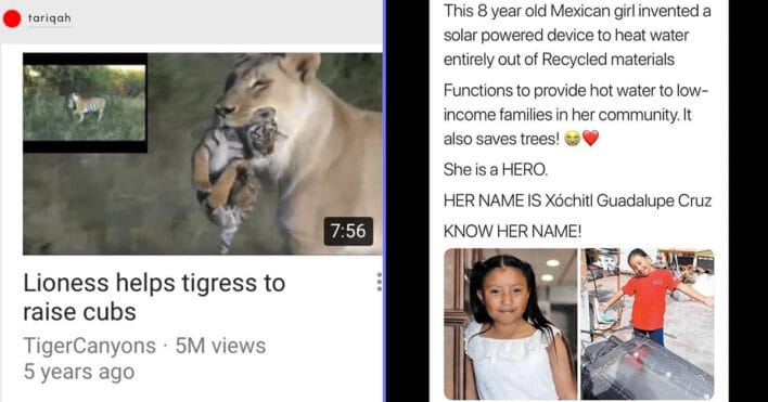 25 Amazing Posts That Highlight The Best Parts Of Being Alive (February ...