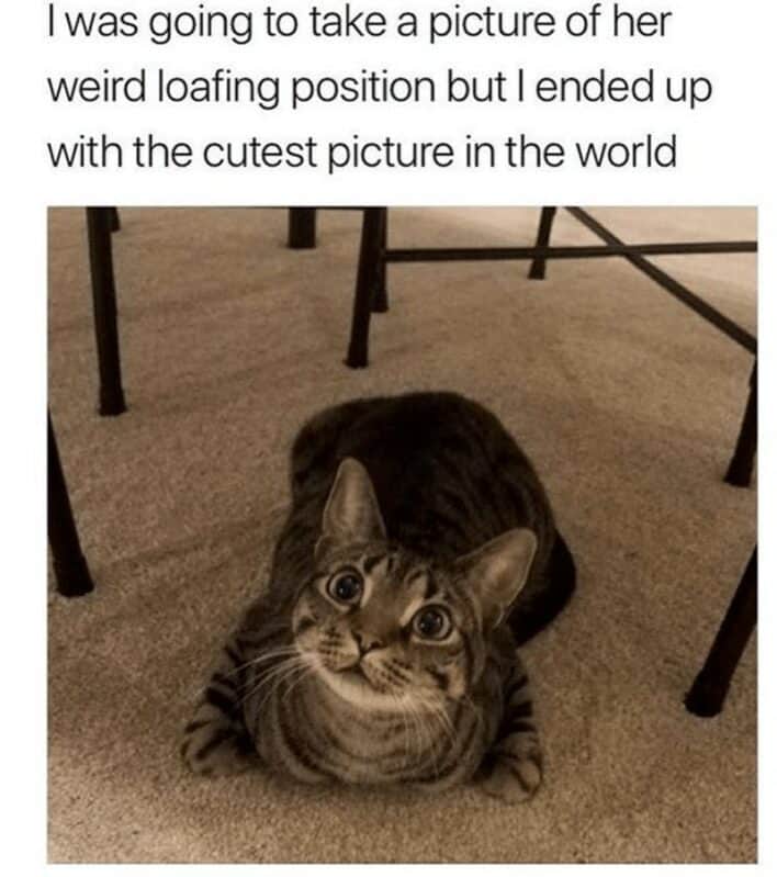 25 Amazing Posts That Will Make Your Day Better (January 7, 2024)