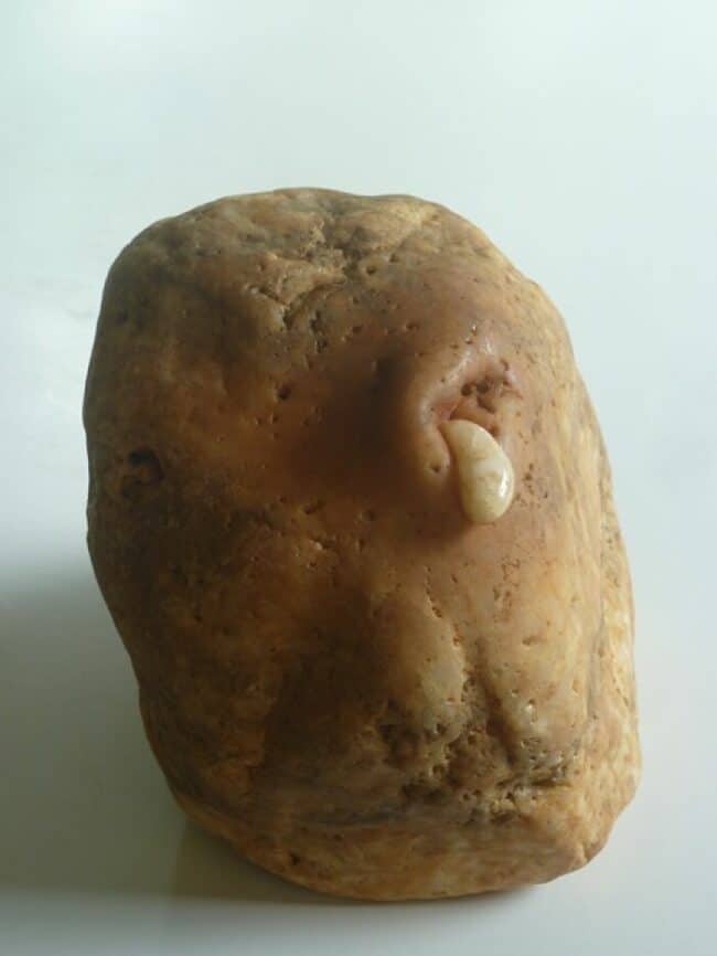 50 Physics-Defying Stone Sculptures From José Manuel Castro López