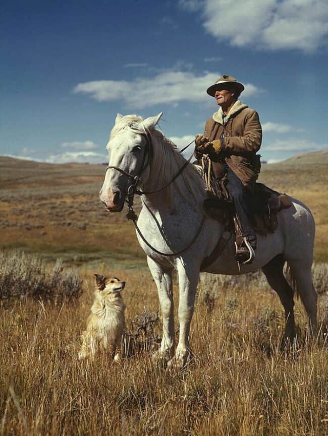 29 Colorized Photos Show A Side Of History You've Probably Never Seen ...