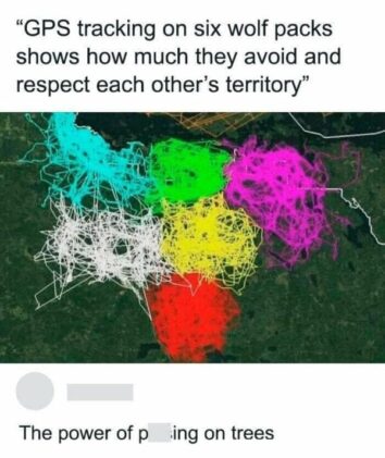 50 Unbelivable Maps And Charts That Will Change How You See The World