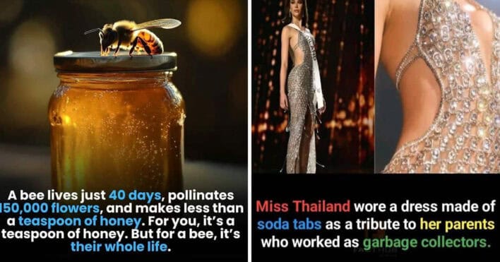 50 Random And Fascinating Facts That Might Change The Way You Look At ...