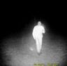 40 Oddly Terrifying Trail Cam Pictures That’ll Make You Think Twice ...