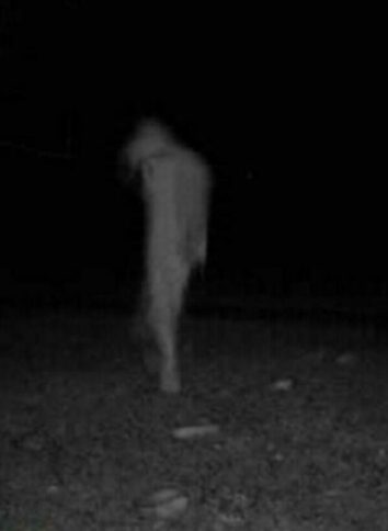 40 Oddly Terrifying Trail Cam Pictures That’ll Make You Think Twice ...