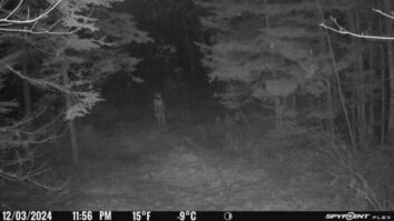 40 Oddly Terrifying Trail Cam Pictures That’ll Make You Think Twice About The Woods