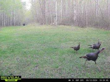 40 Oddly Terrifying Trail Cam Pictures That’ll Make You Think Twice ...