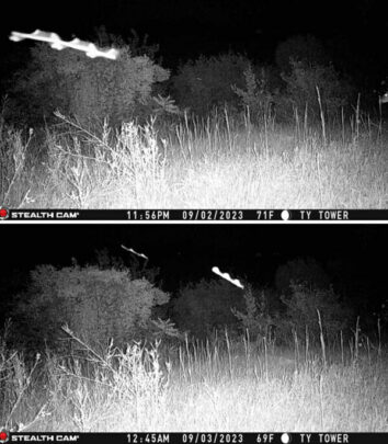 40 Oddly Terrifying Trail Cam Pictures That’ll Make You Think Twice ...