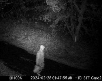 40 Oddly Terrifying Trail Cam Pictures That’ll Make You Think Twice ...