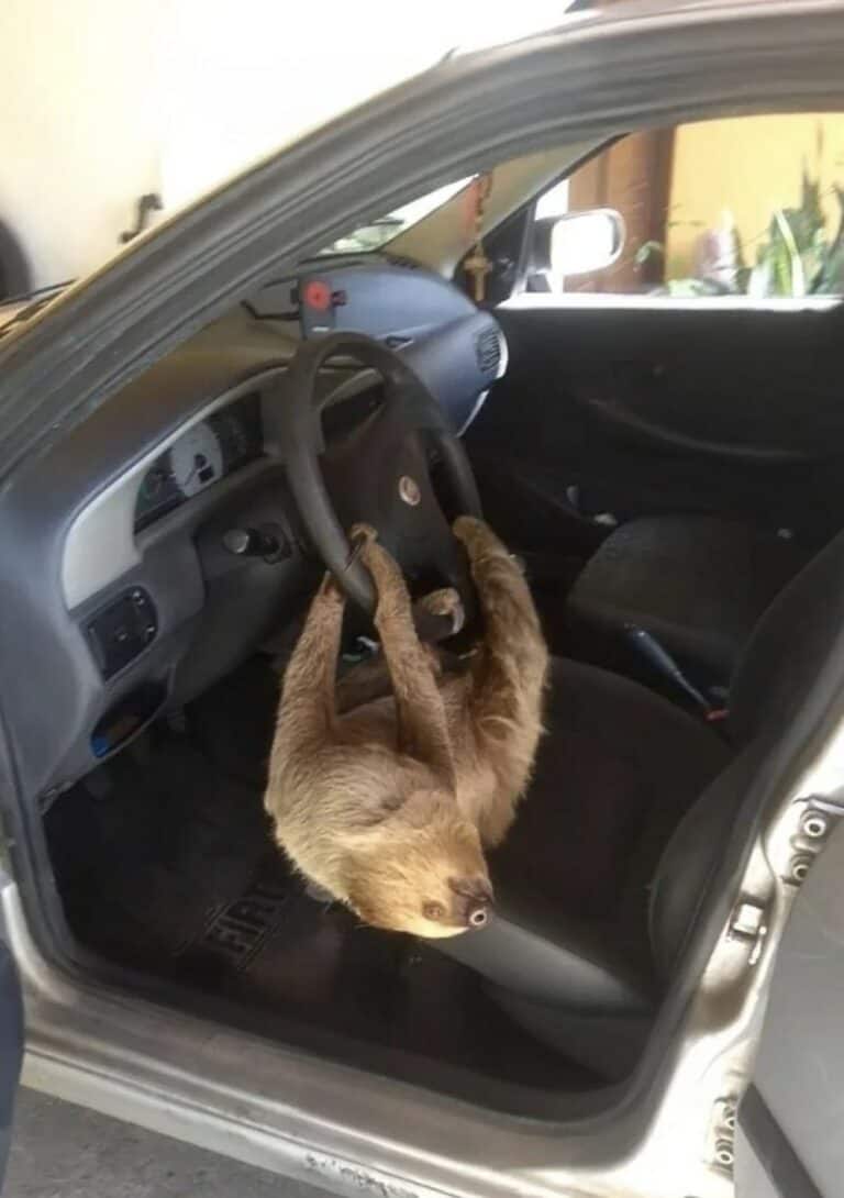 35 Of The Most Fascinating Pictures We Found On Reddit This Month ...