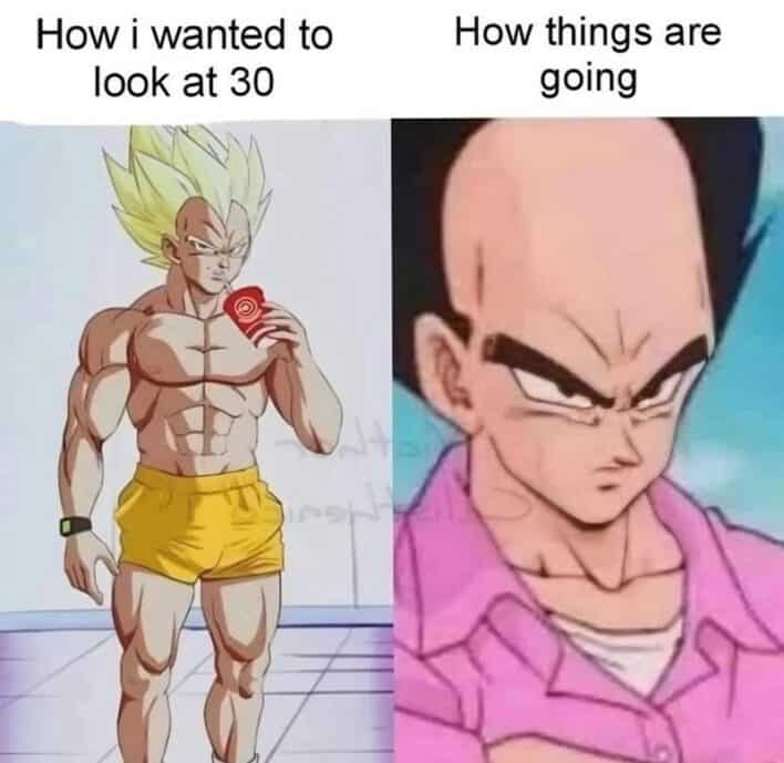40 Hilarious Anime Memes That Would Even Make Vegeta Crack A Smile ...