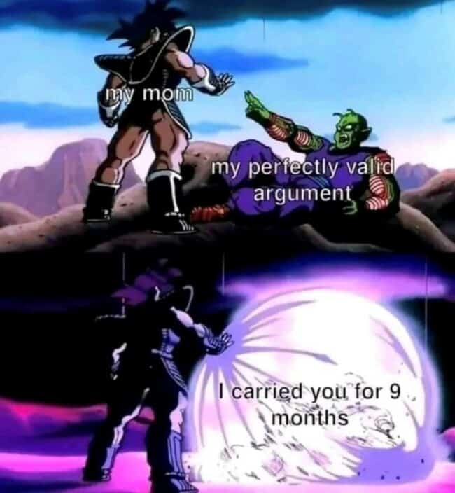 40 Hilarious Anime Memes That Would Even Make Vegeta Crack A Smile ...