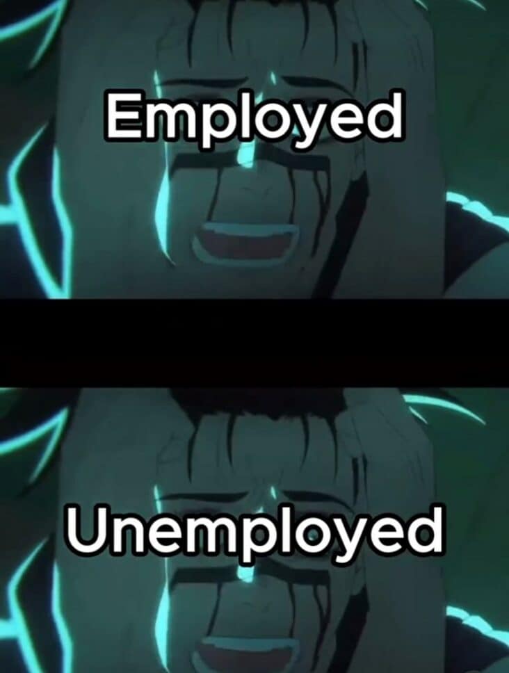 40 Hilarious Anime Memes That Would Even Make Vegeta Crack A Smile ...