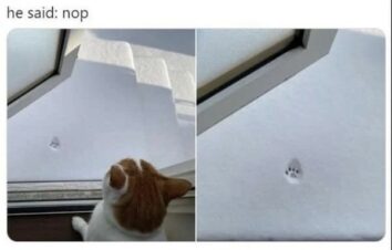 39 Funniest Cold Weather Memes For People Who Are One Shiver Away From ...